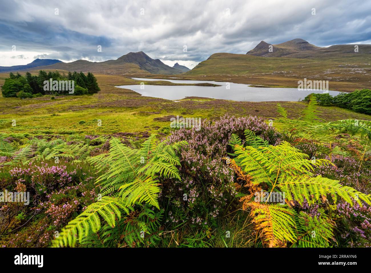 Scottish landscape meadows lakes hi-res stock photography and images ...