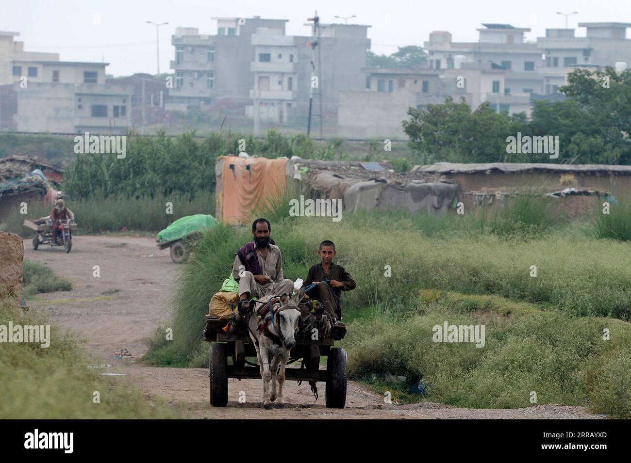 210823 -- ISLAMABAD, Aug. 23, 2021 -- Afghan refugees ride on a donkey ...