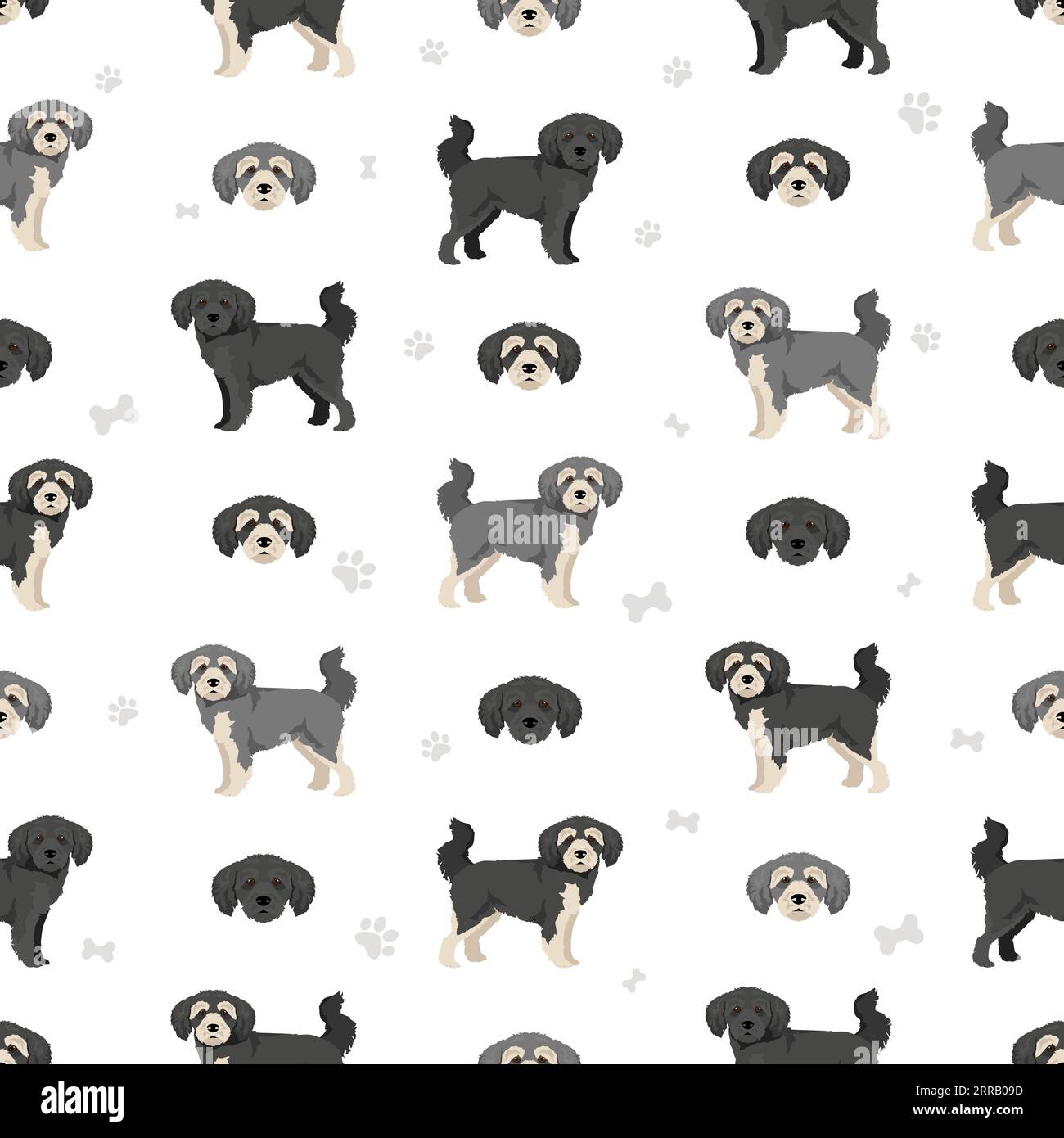 Schnoodle seamless pattern. Schnauzer Poodle mix. Different coat colors ...