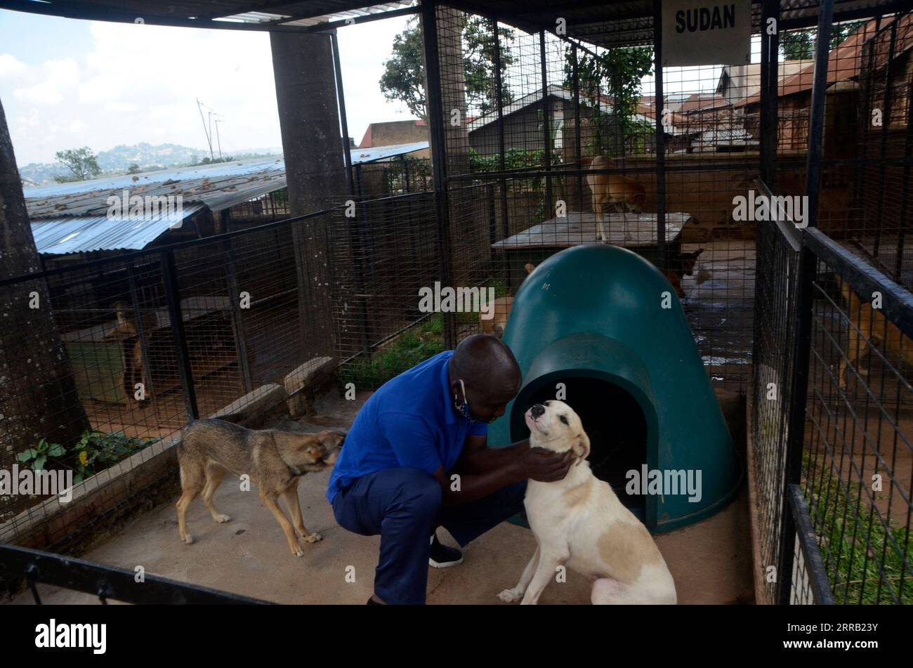 210826 -- KAMPALA, Aug. 26, 2021 -- A man caresses a dog in Kampala ...