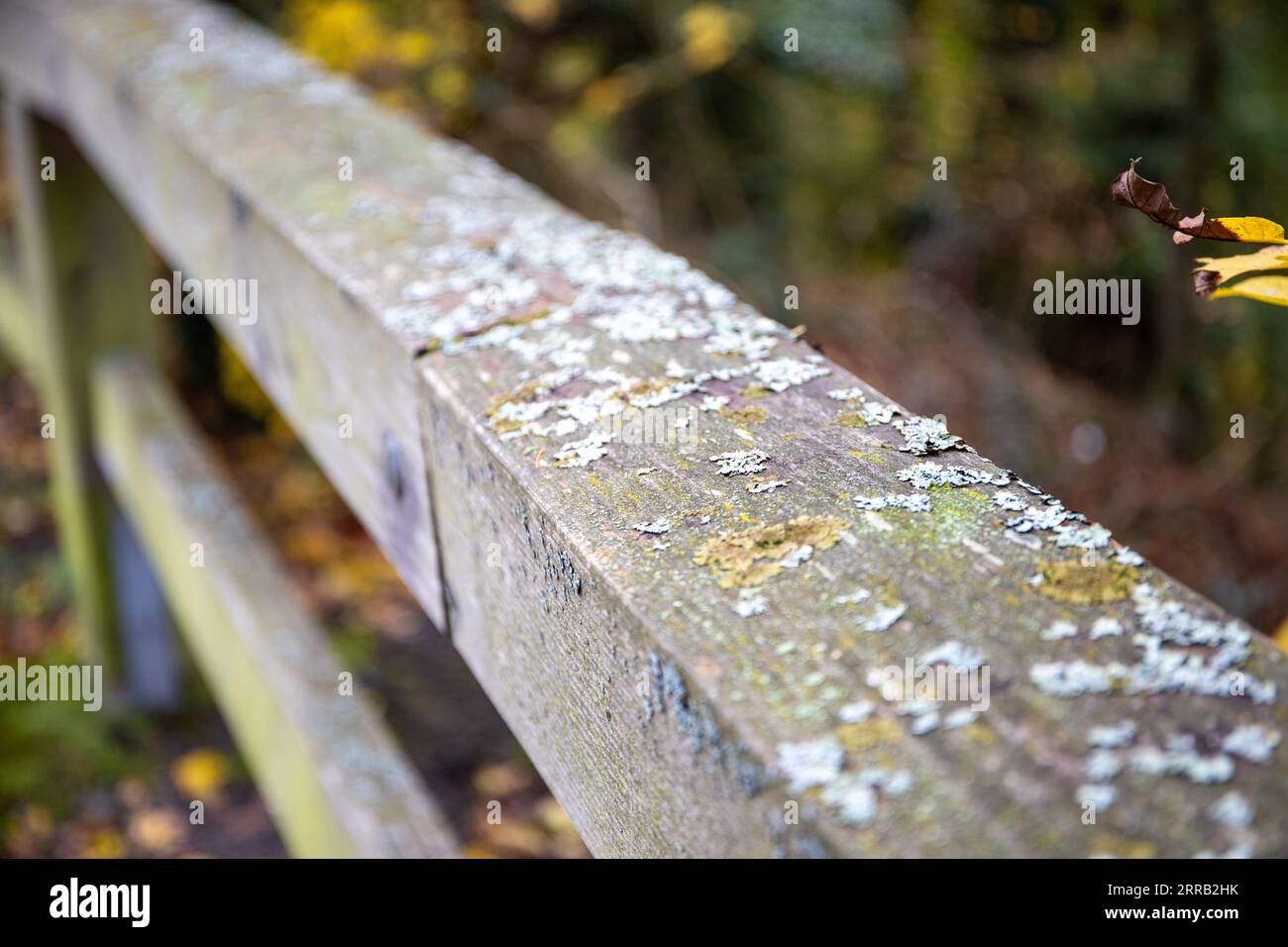 old wooden railing with lichens on it Stock Photo - Alamy