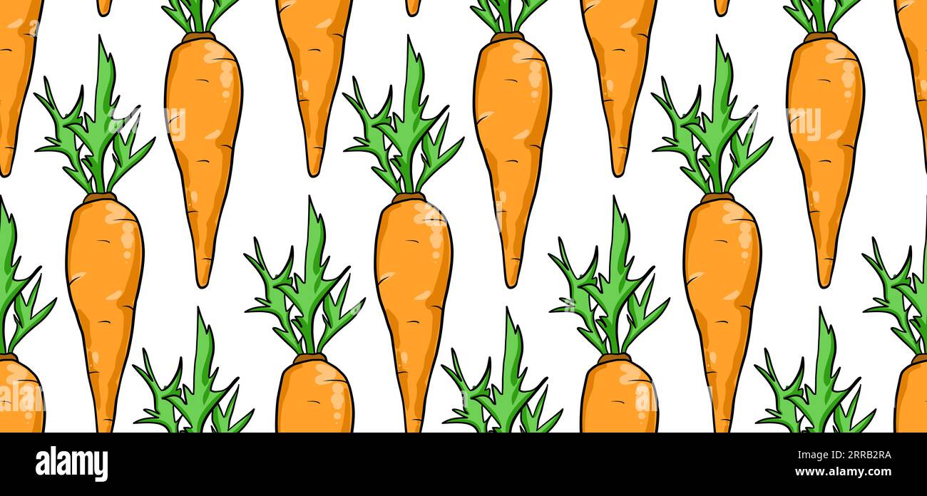 Seamless pattern with hand drawn carrots on white background. Vector ...