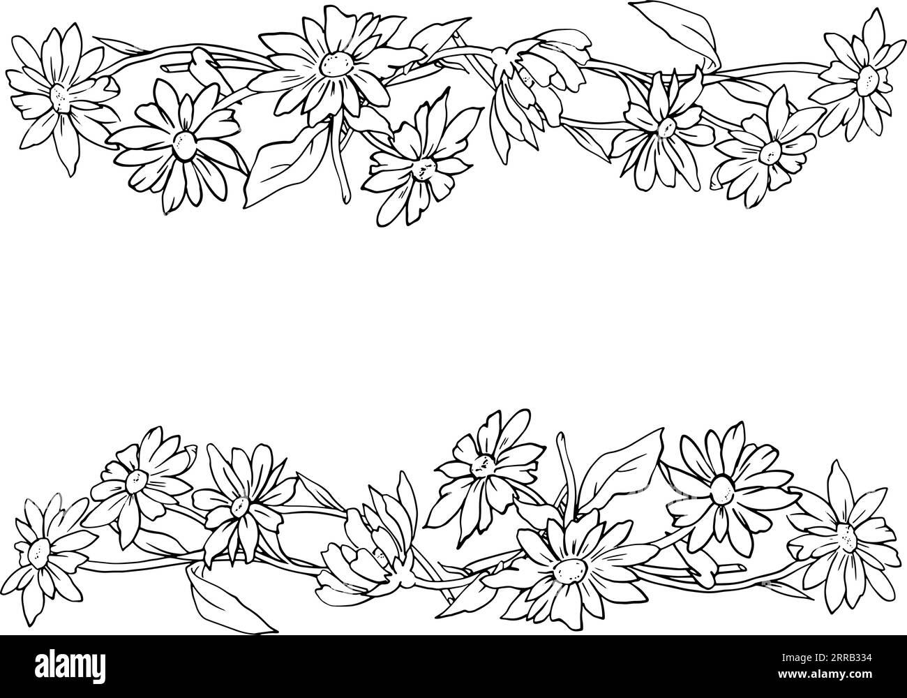 Chamomile flowers frame with leaves. Monochrome graphic line drawing ...