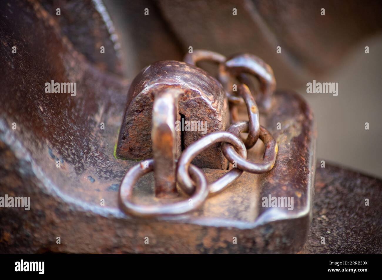 Metallic eyelet detail hi-res stock photography and images - Alamy