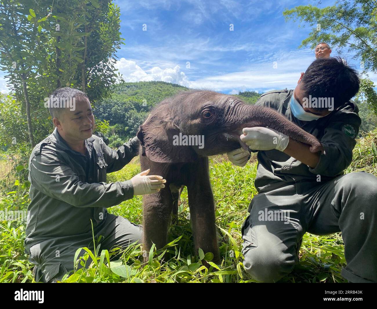 Severe diseases hi-res stock photography and images - Alamy