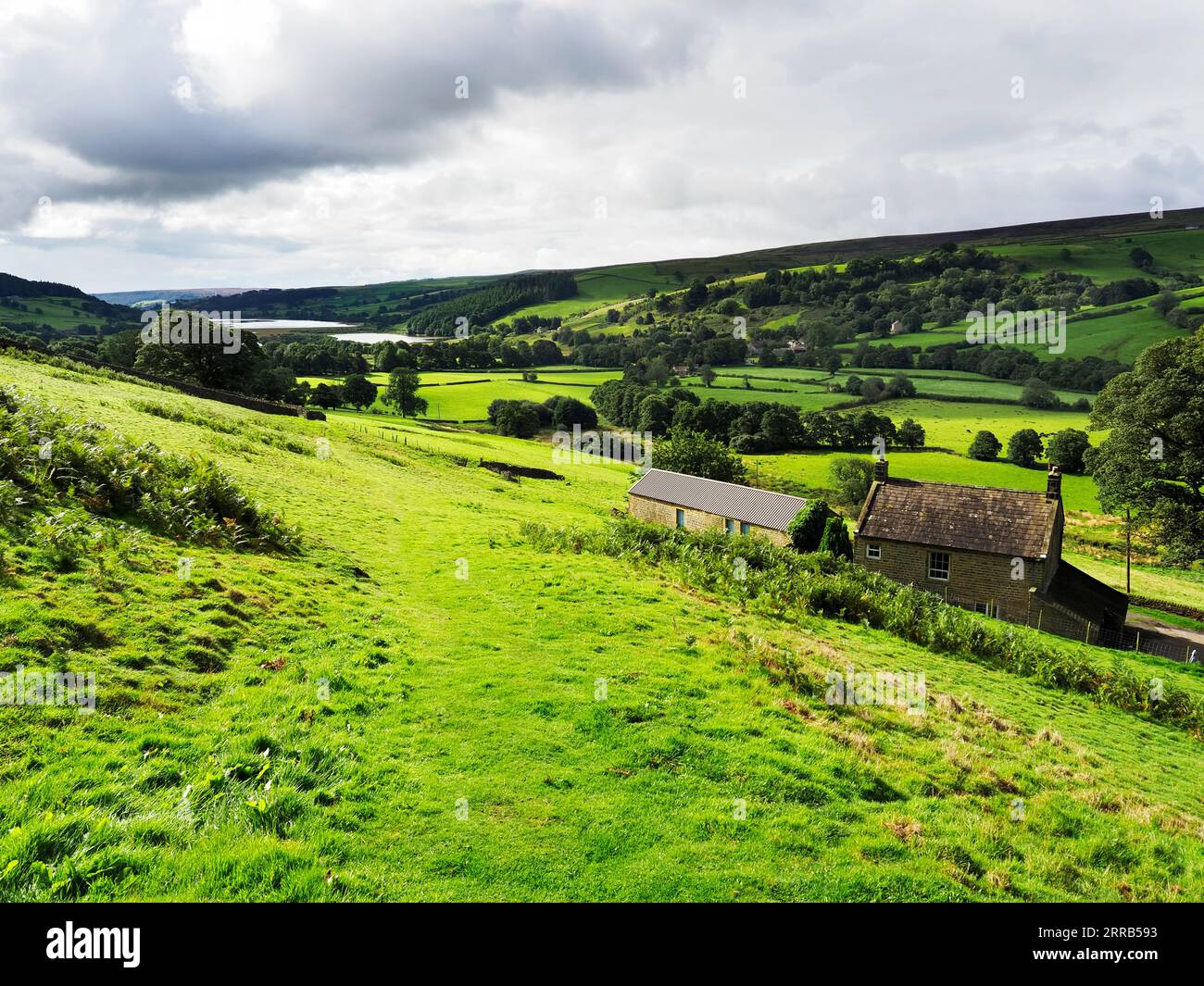 Along the Nidderdale Way foorpath between Bouthwaite and Lofthouse ...
