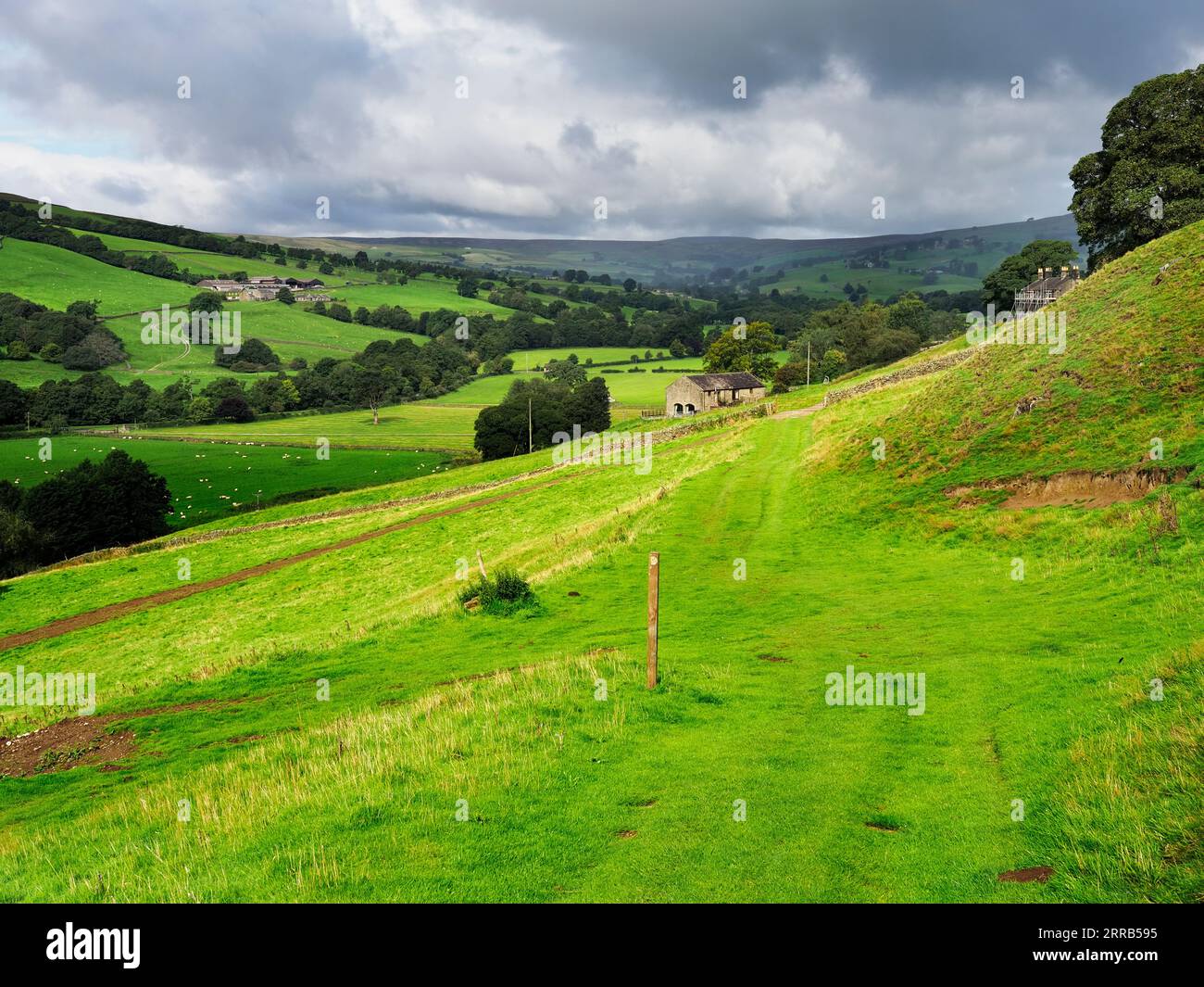 Along the Nidderdale Way foorpath between Bouthwaite and Lofthouse ...