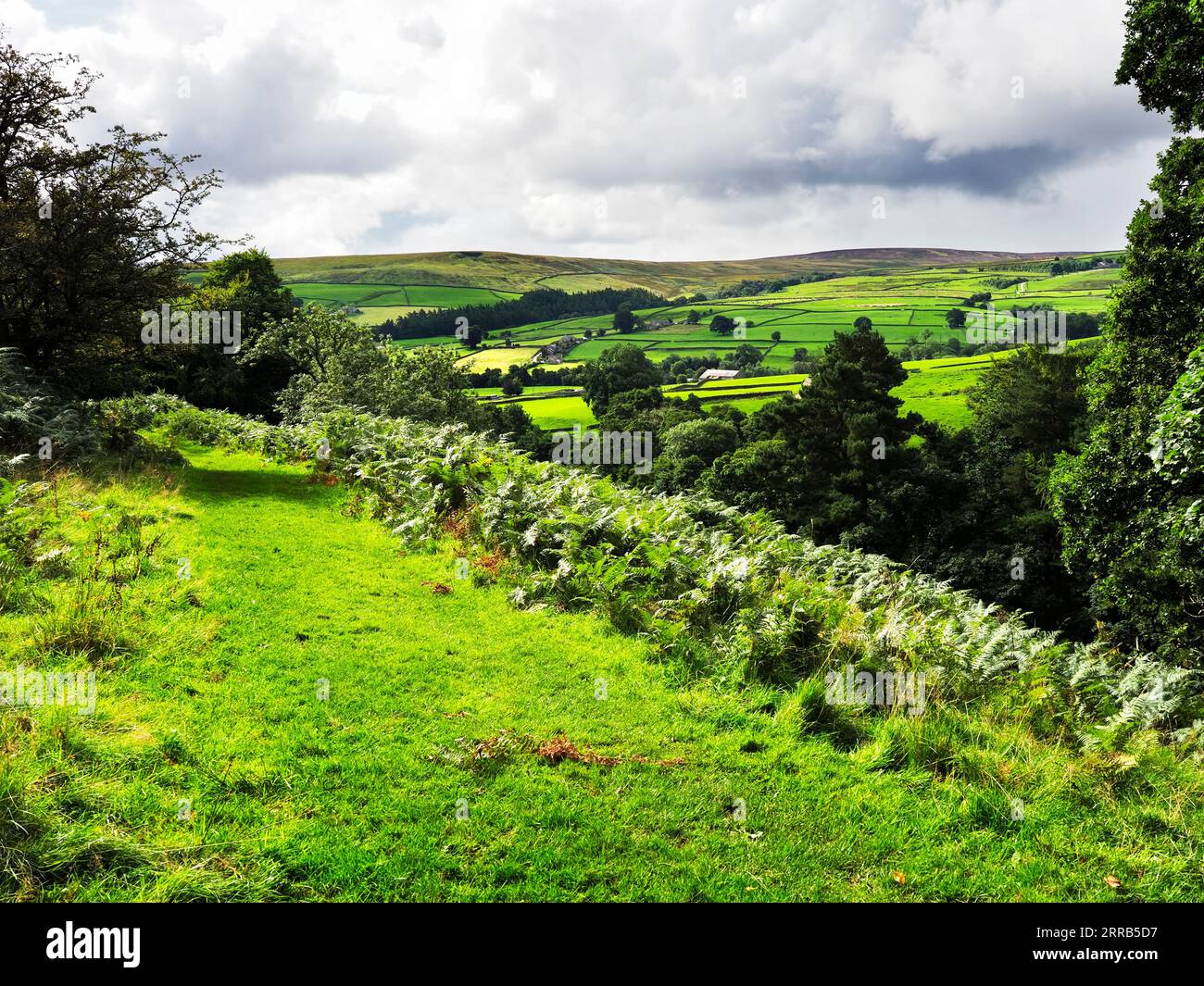 Thrope Lane bridleway part of the Nidderdale Way north of Lofthouse ...