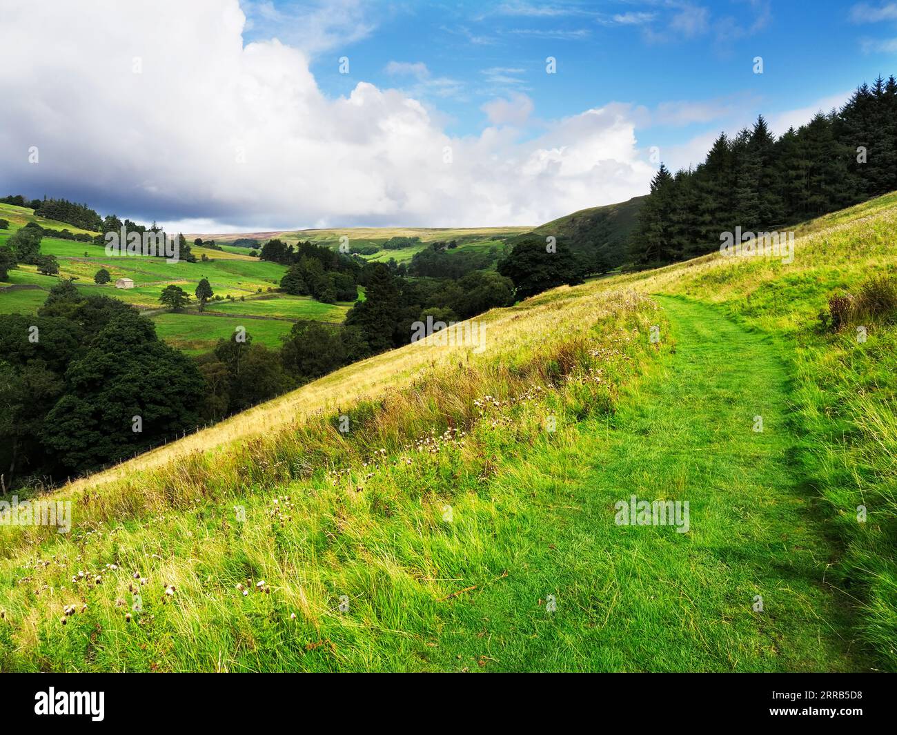Thrope Lane bridleway part of the Nidderdale Way north of Lofthouse ...