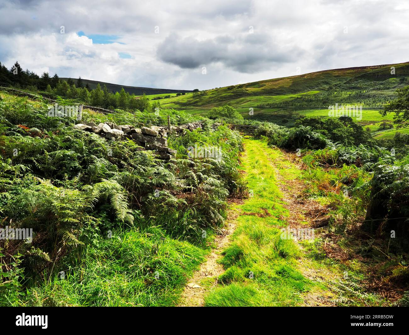 The Nidderdale Way long distance footpath near Scar House Nidderdale ...