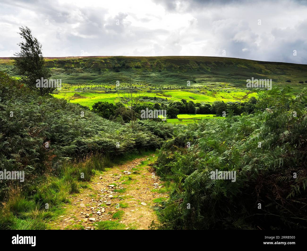 The Nidderdale Way long distance footpath near Scar House Nidderdale ...