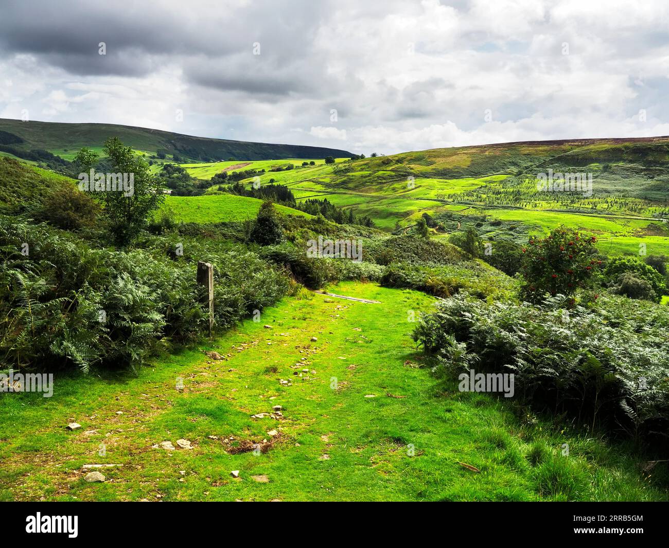 The Nidderdale Way long distance footpath near Scar House Nidderdale ...