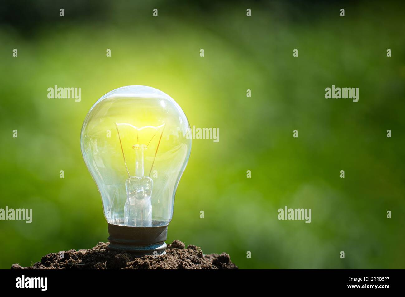 lightbulb on soil and sunshine. concept saving energy in nature. eco ...