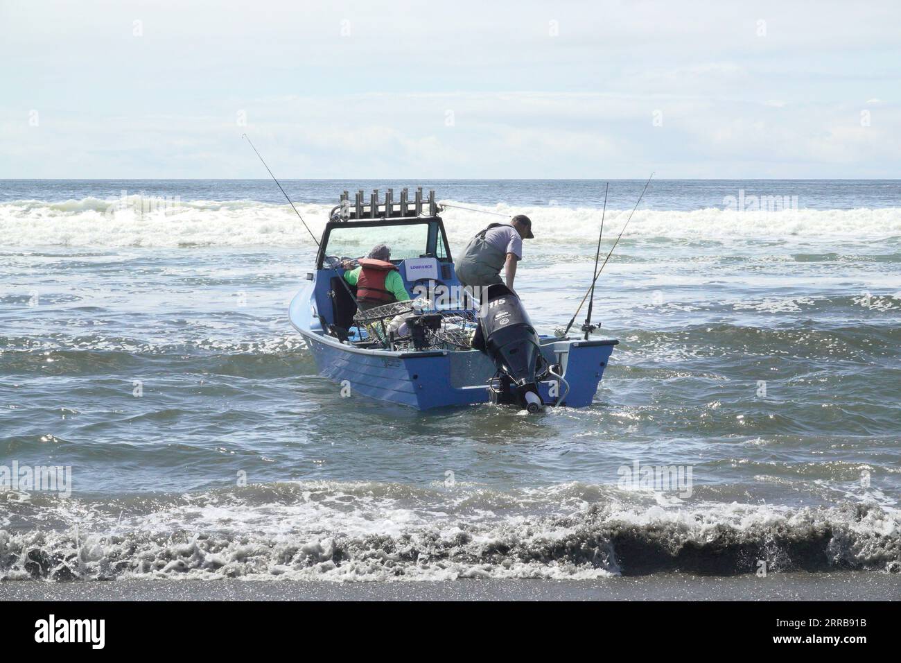 Dory fish hi-res stock photography and images - Alamy