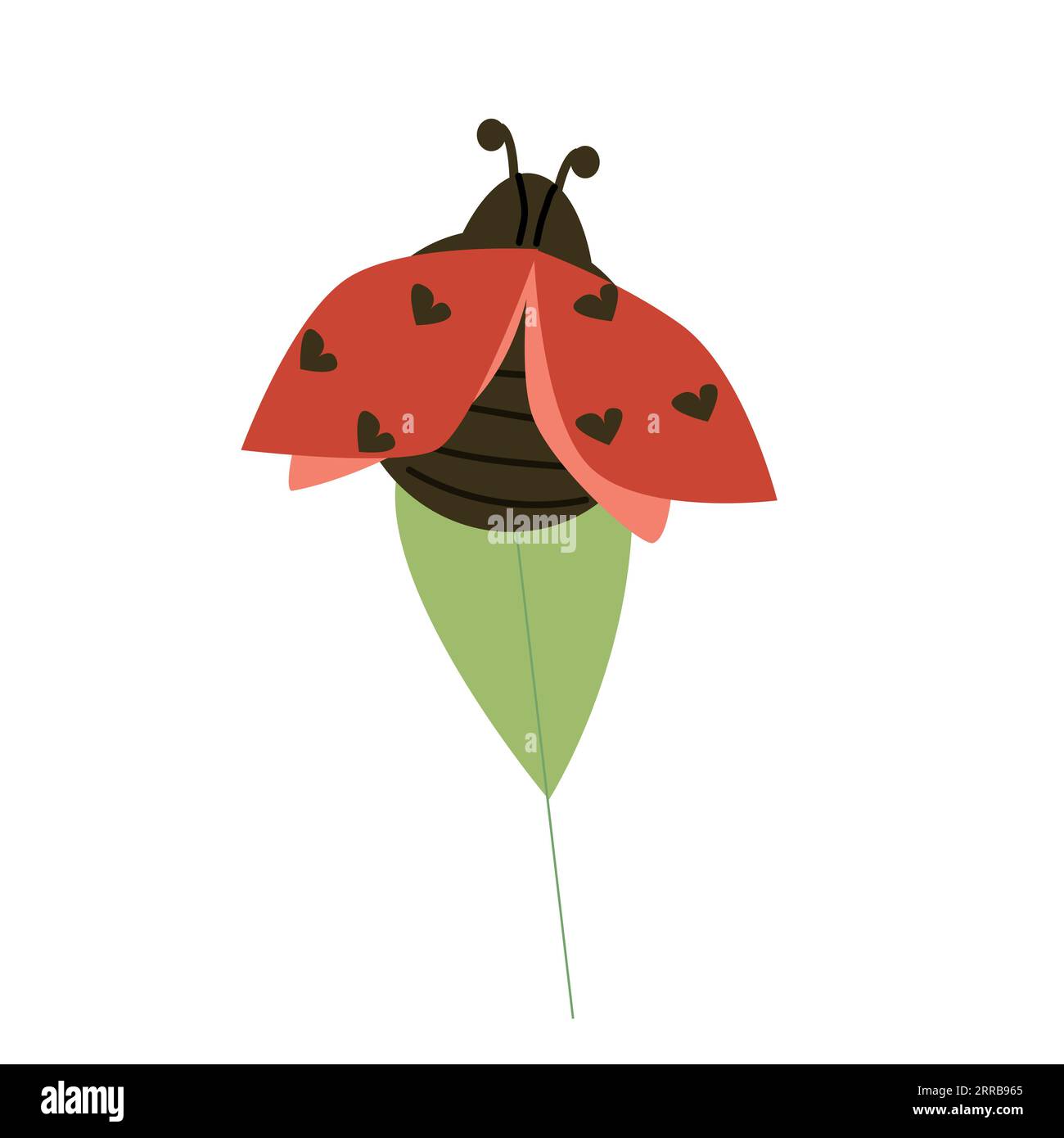 cute lovebug or ledybug in leaf sitting Stock Vector Image & Art - Alamy