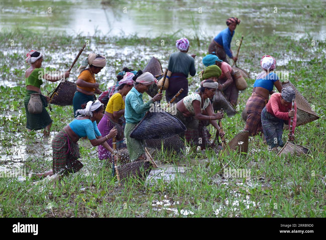 210909 -- ASSAM, Sept. 9, 2021 -- Women from the karbi tribe catch fish ...