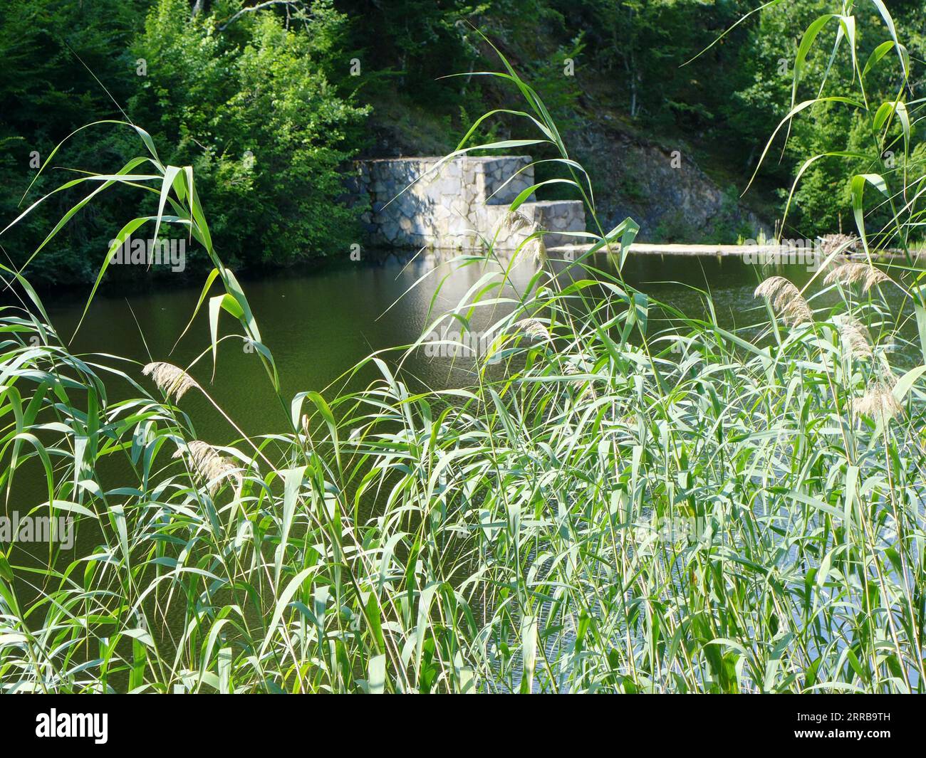 Overflow ponds hi-res stock photography and images - Alamy