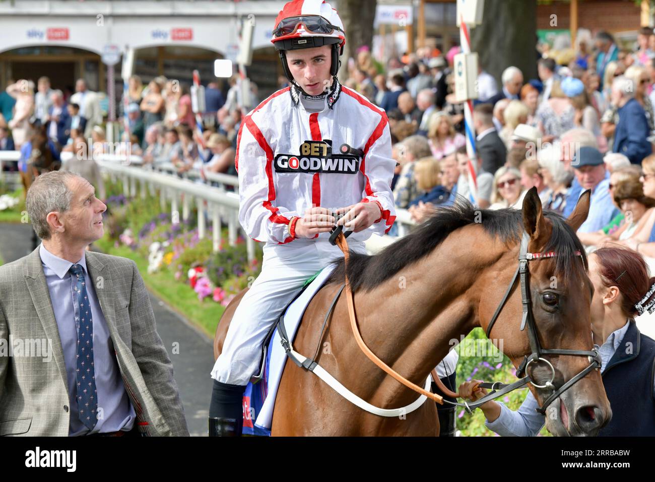 Horse HMS President and jockey Rossa Ryan Stock Photo - Alamy