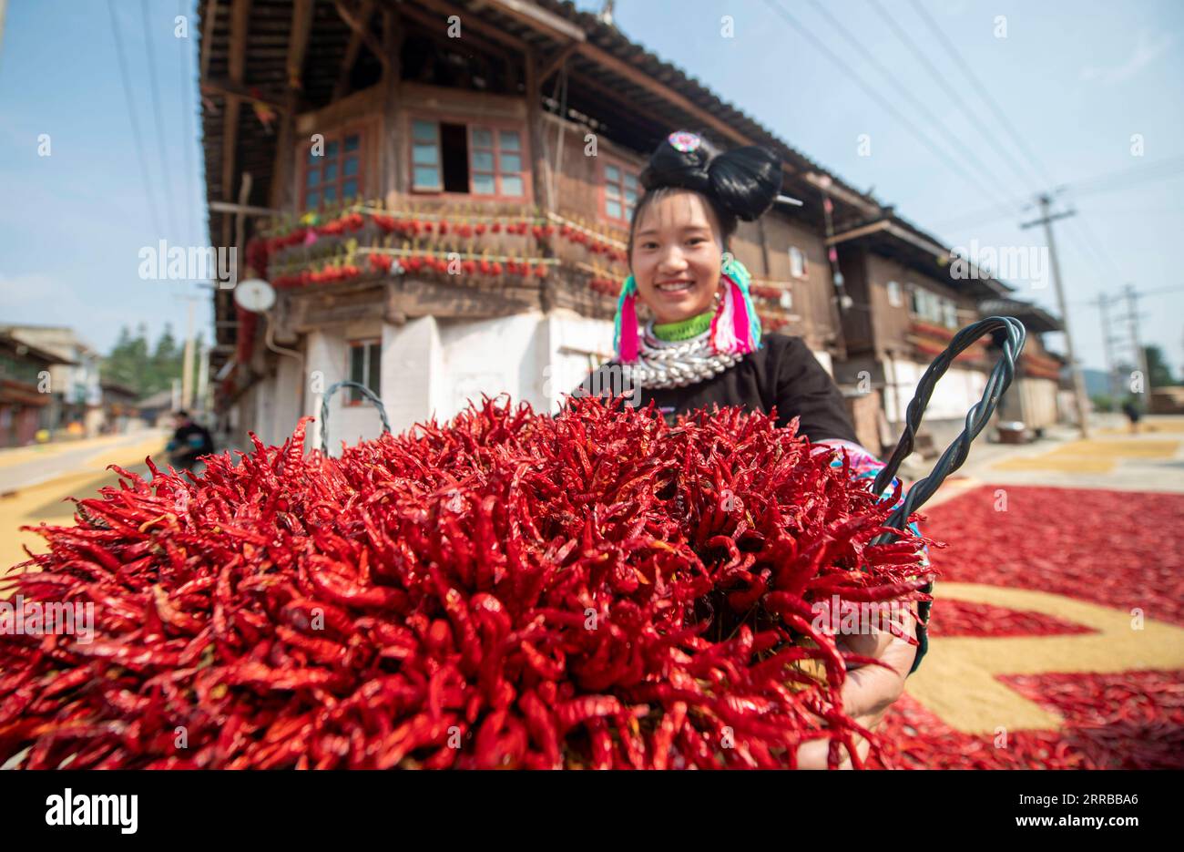 Pepers harvest hi-res stock photography and images - Alamy