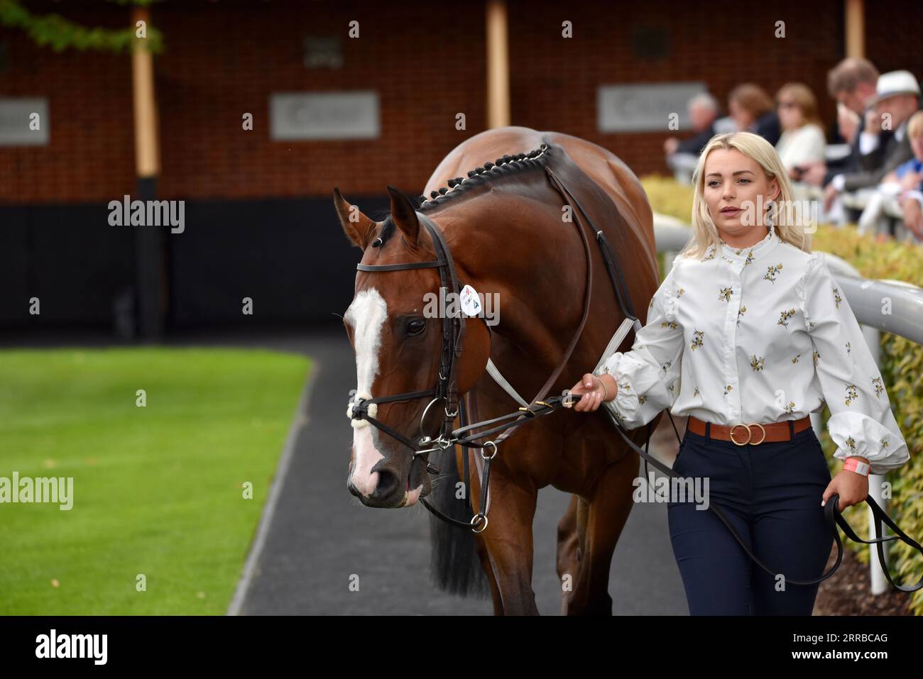 Spirit dancer hi-res stock photography and images - Alamy