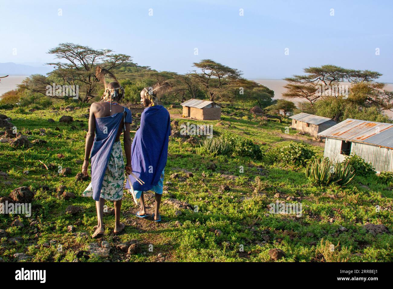 Llchamus hi-res stock photography and images - Alamy