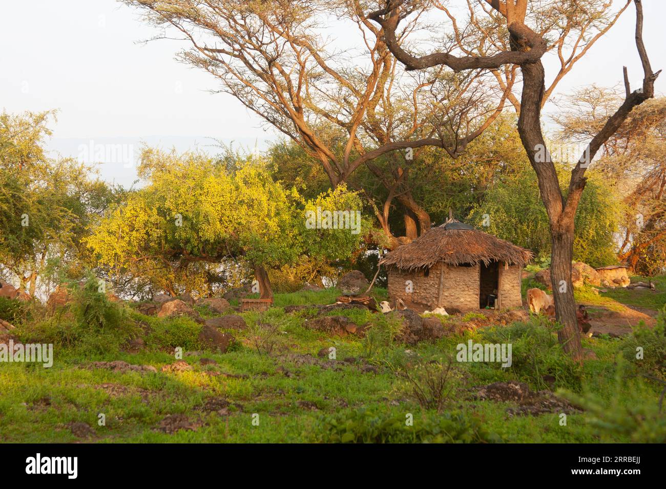 Njemps people huts the Ilchamus (sometimes spelled Iltiamus, also known ...