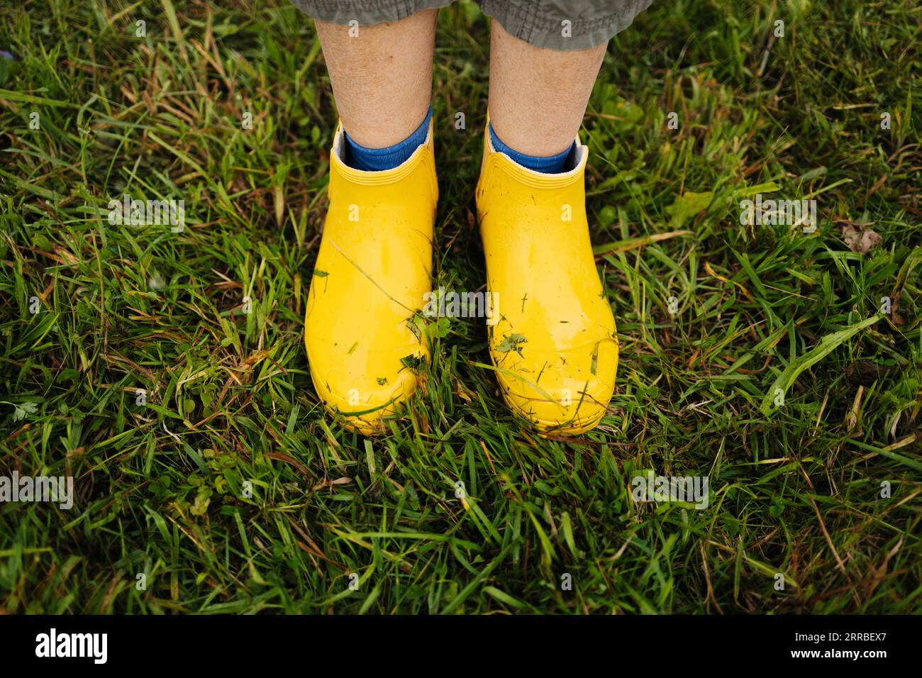A Closeup Of Woman Legs In Yellow Rubber Boots In A Green Beautiful Garden Gardening Boots On