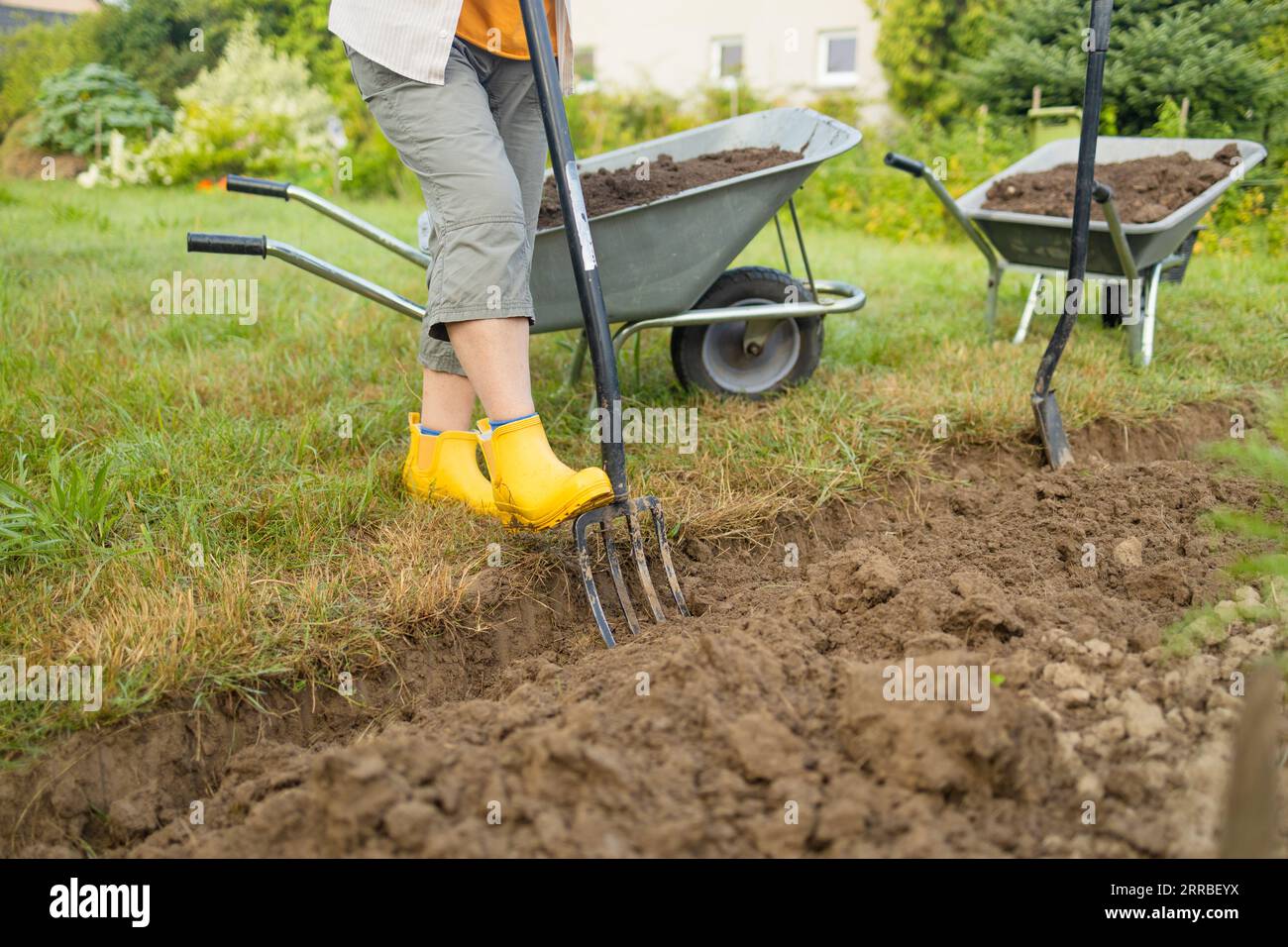 Farmer cultivating land in the garden with hand tools. Soil loosening ...