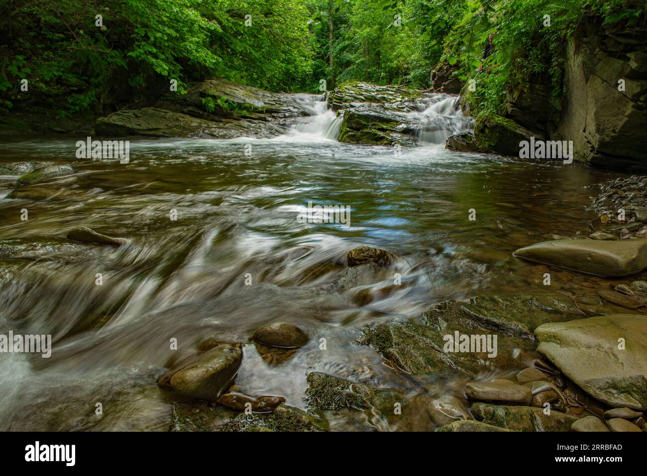 Nasiczne hi-res stock photography and images - Alamy