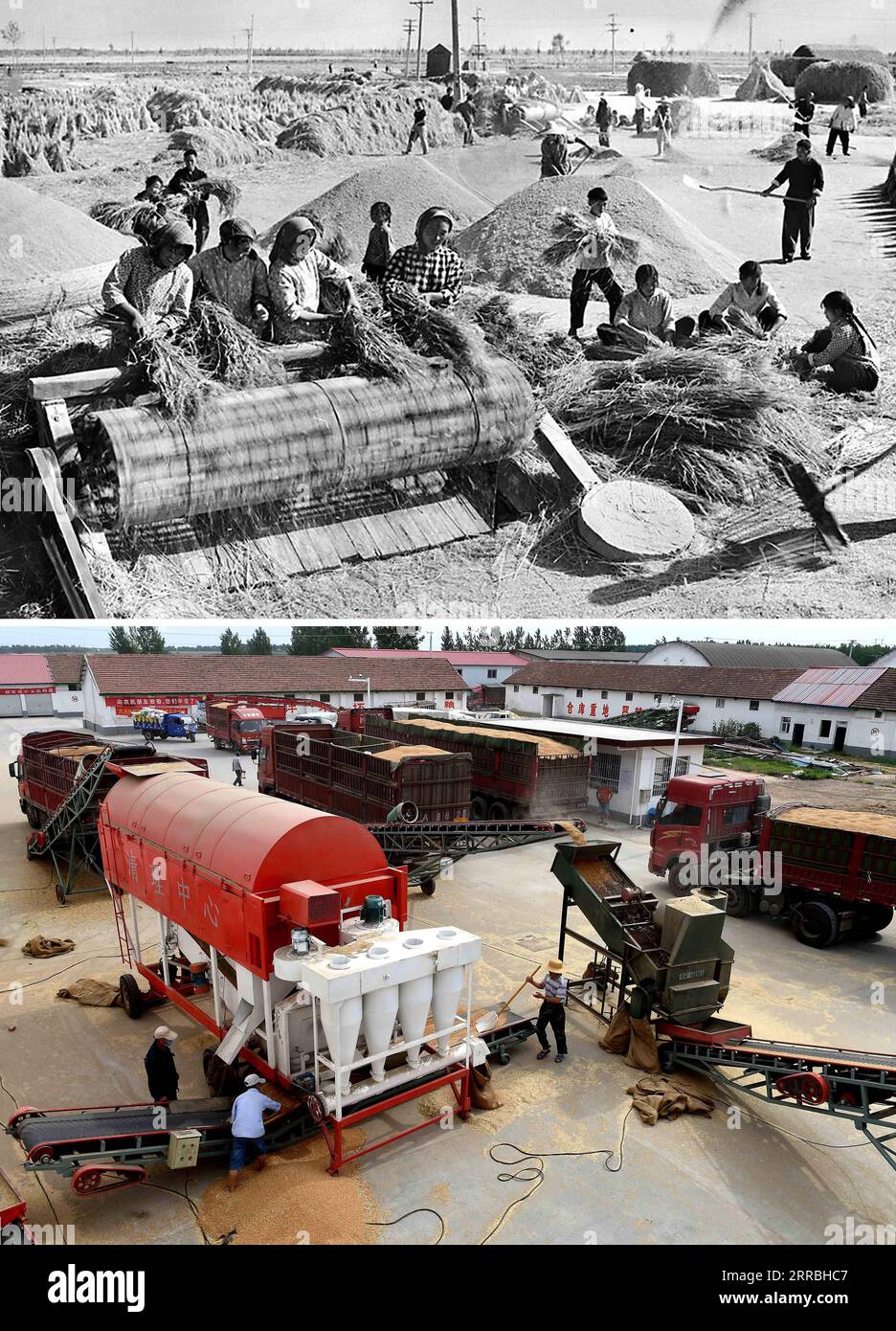 China farming 1970s hi-res stock photography and images - Alamy