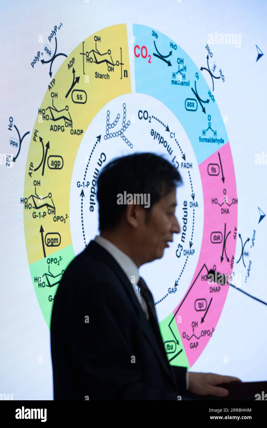 Starchfrom hi-res stock photography and images - Alamy