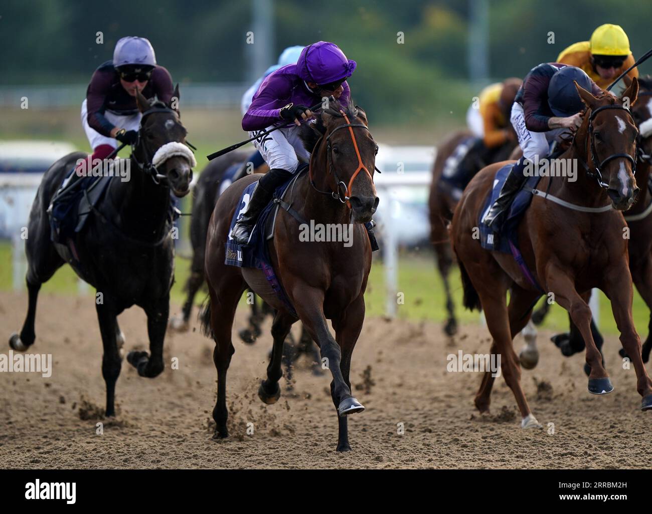 Minnetonka horse hi-res stock photography and images - Alamy