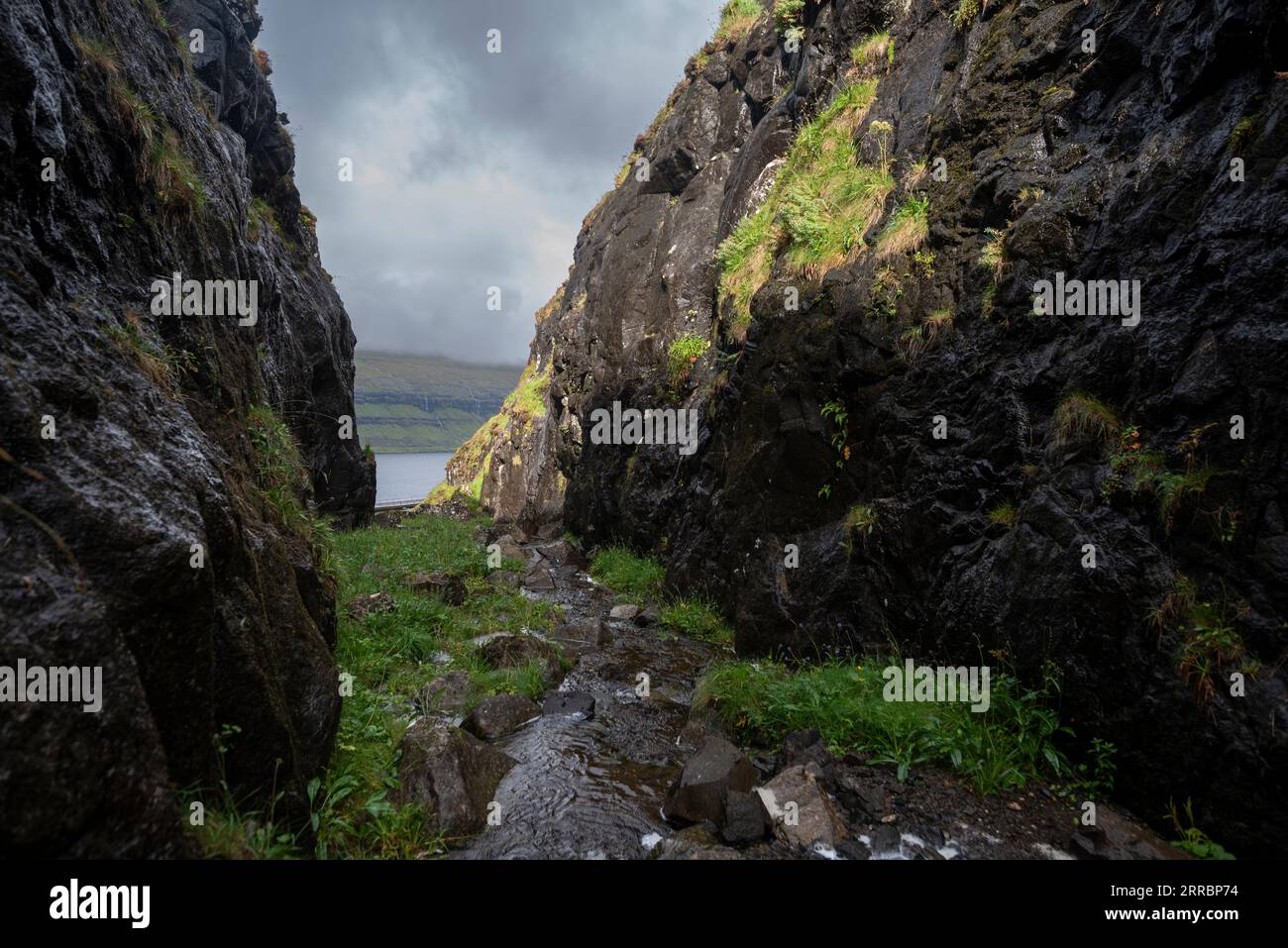 A rocky chasm wet with rain and mist from many small waterfalls glints ...