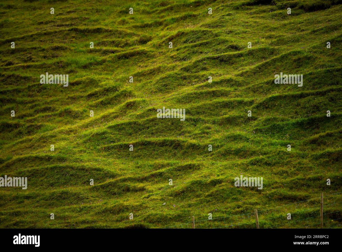 Well trodden paths hi-res stock photography and images - Alamy