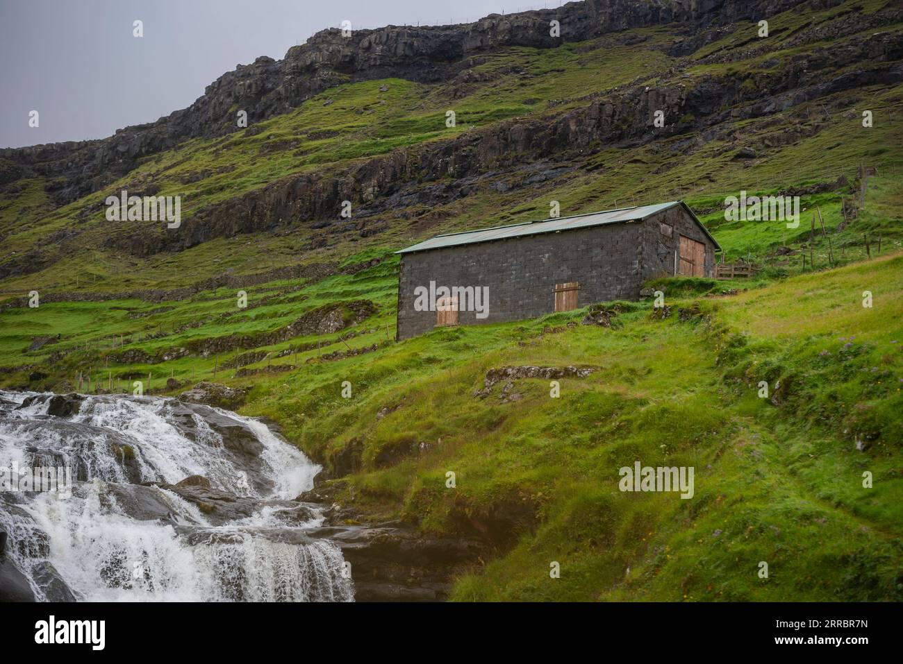 Water cascades past a sheep barn on a steep slope on Vagar island in ...