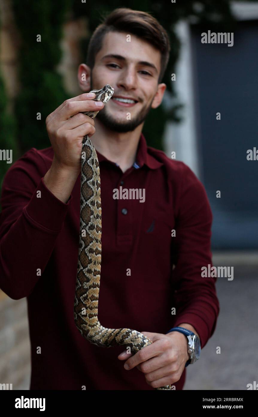 Palestinian snakes hi-res stock photography and images - Alamy