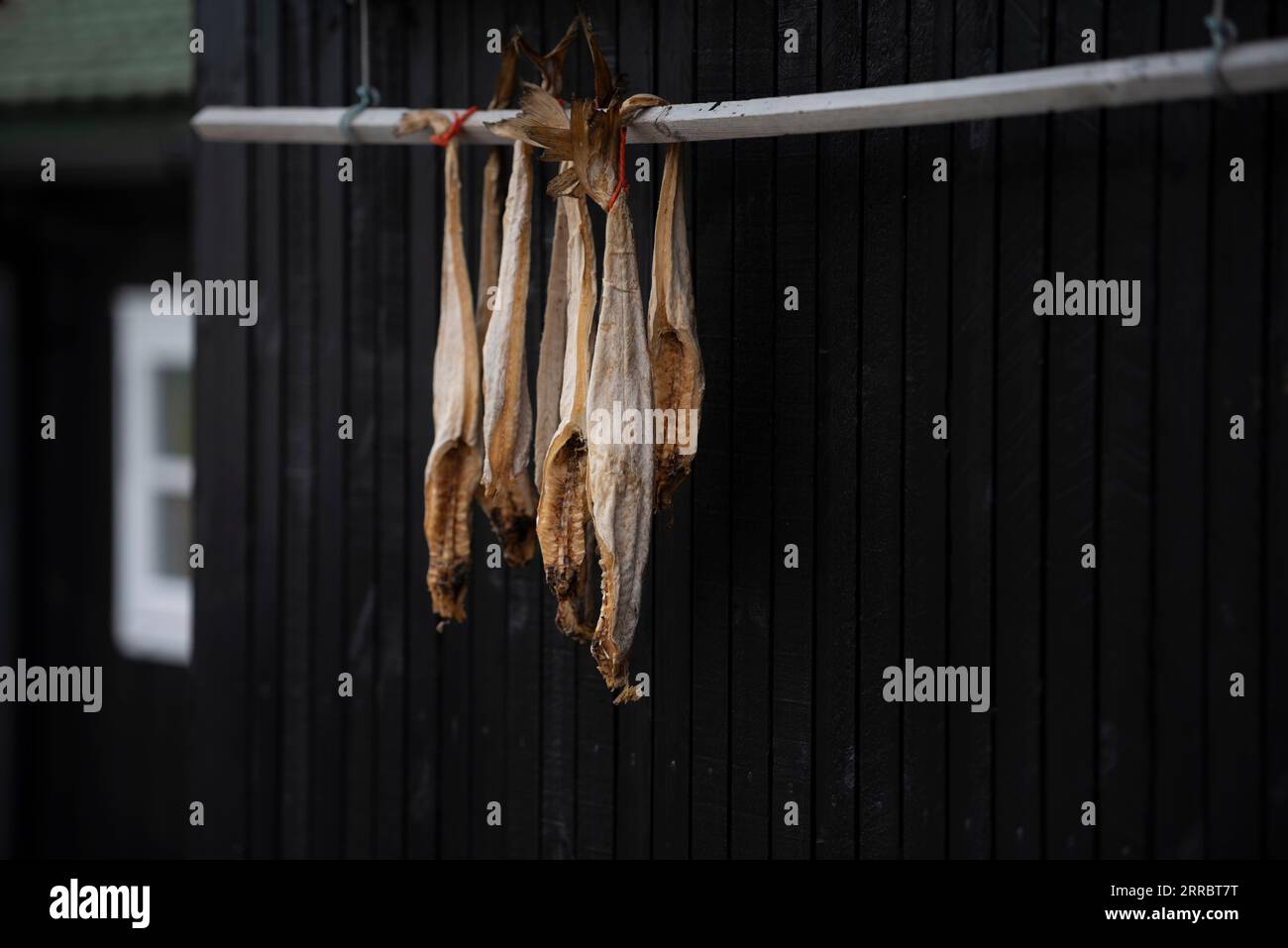 Fish air dry in the small village of Gjogv, Faroe Island; hanging ...
