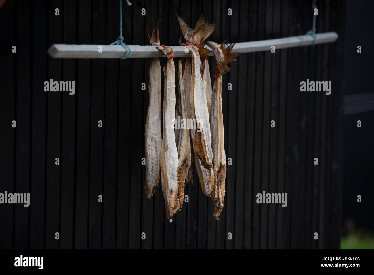 Fish air dry in the small village of Gjogv, Faroe Island; hanging ...