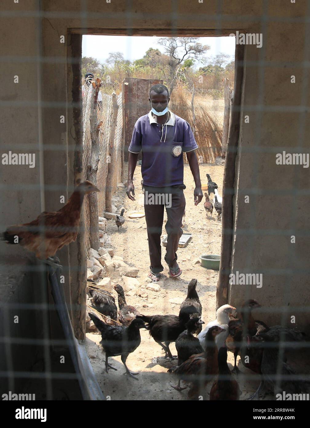 Mashonaland west hi-res stock photography and images - Alamy