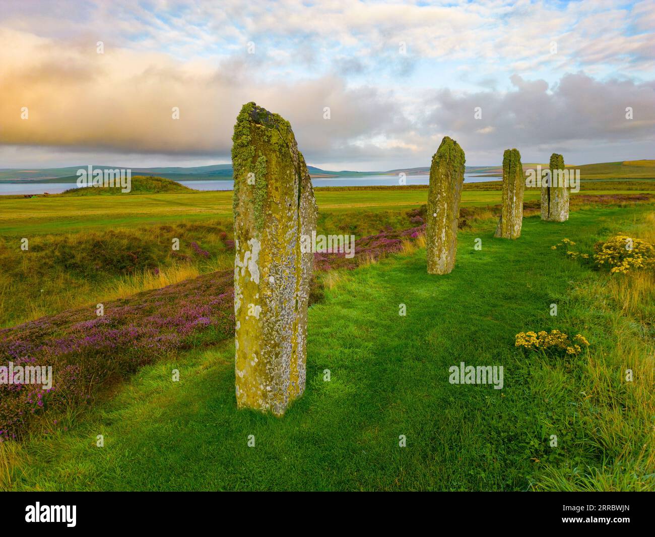 Early morning light at Ring of Brodgar neolithic henge and stone circle ...