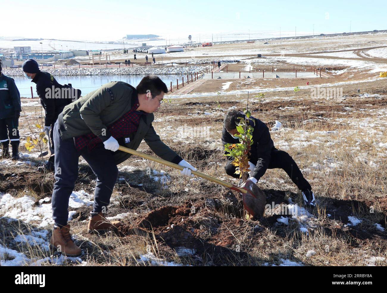 Tree planting days hi-res stock photography and images - Alamy