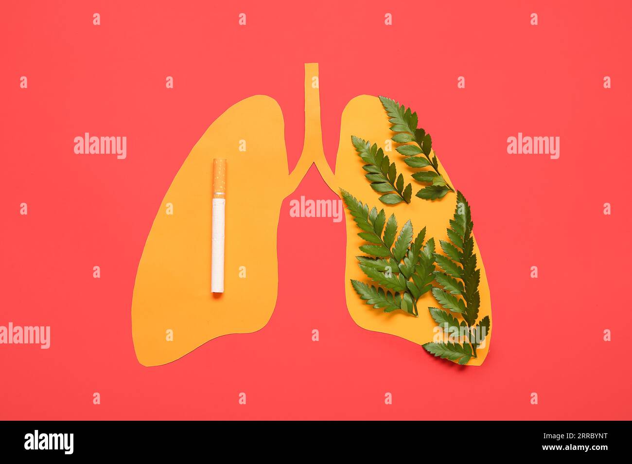 Paper lungs with cigarette and green leaves on red background. Lung ...