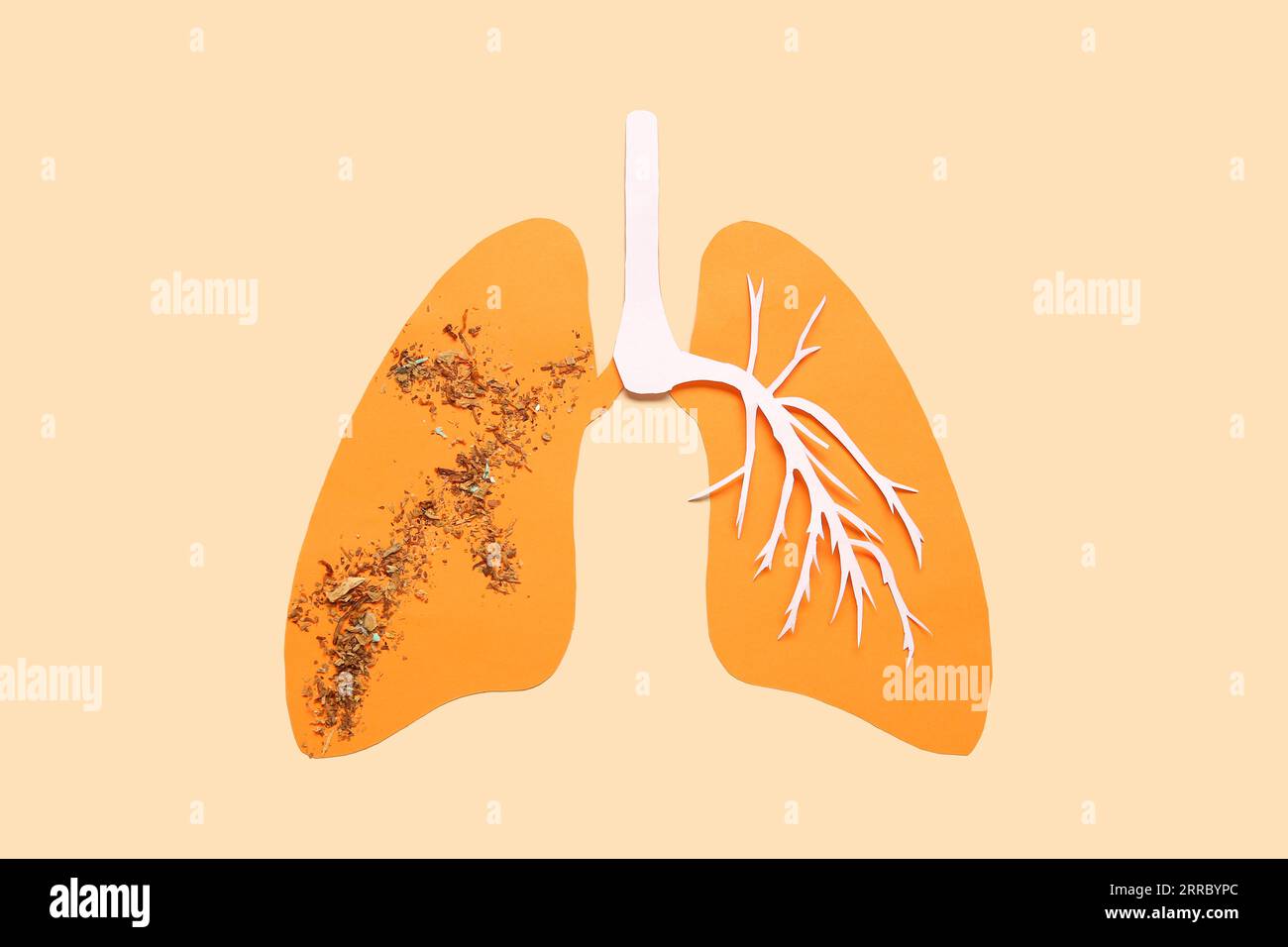 Paper lungs with tobacco on beige background. Lung cancer concept Stock ...