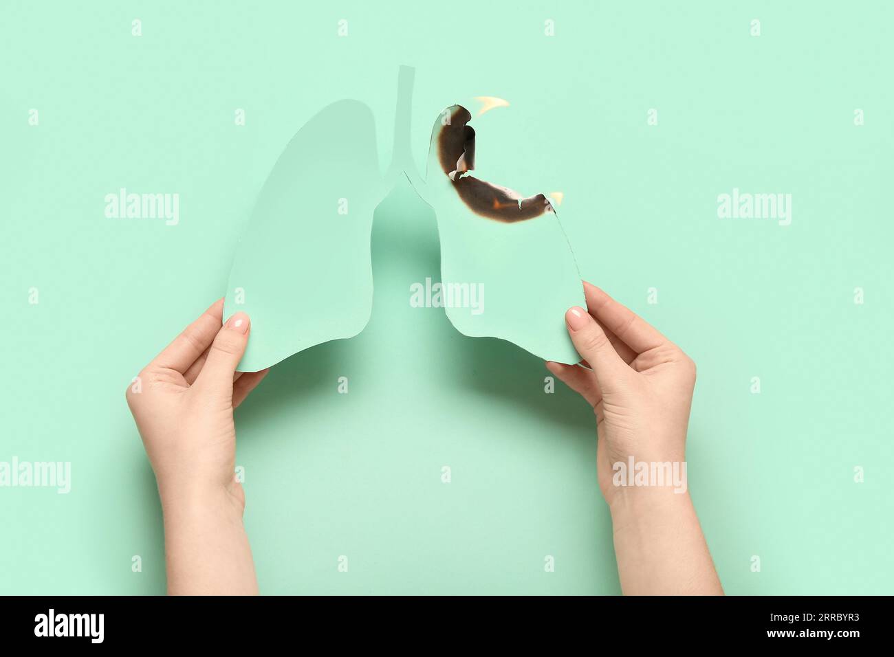 Female hands holding burning paper lungs on turquoise background. Lung ...
