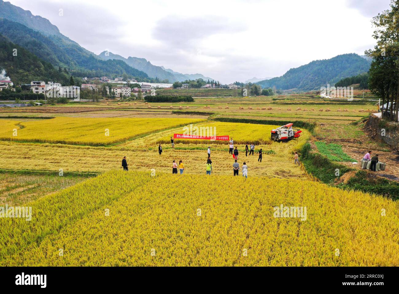 Majiang in a hi-res stock photography and images - Alamy