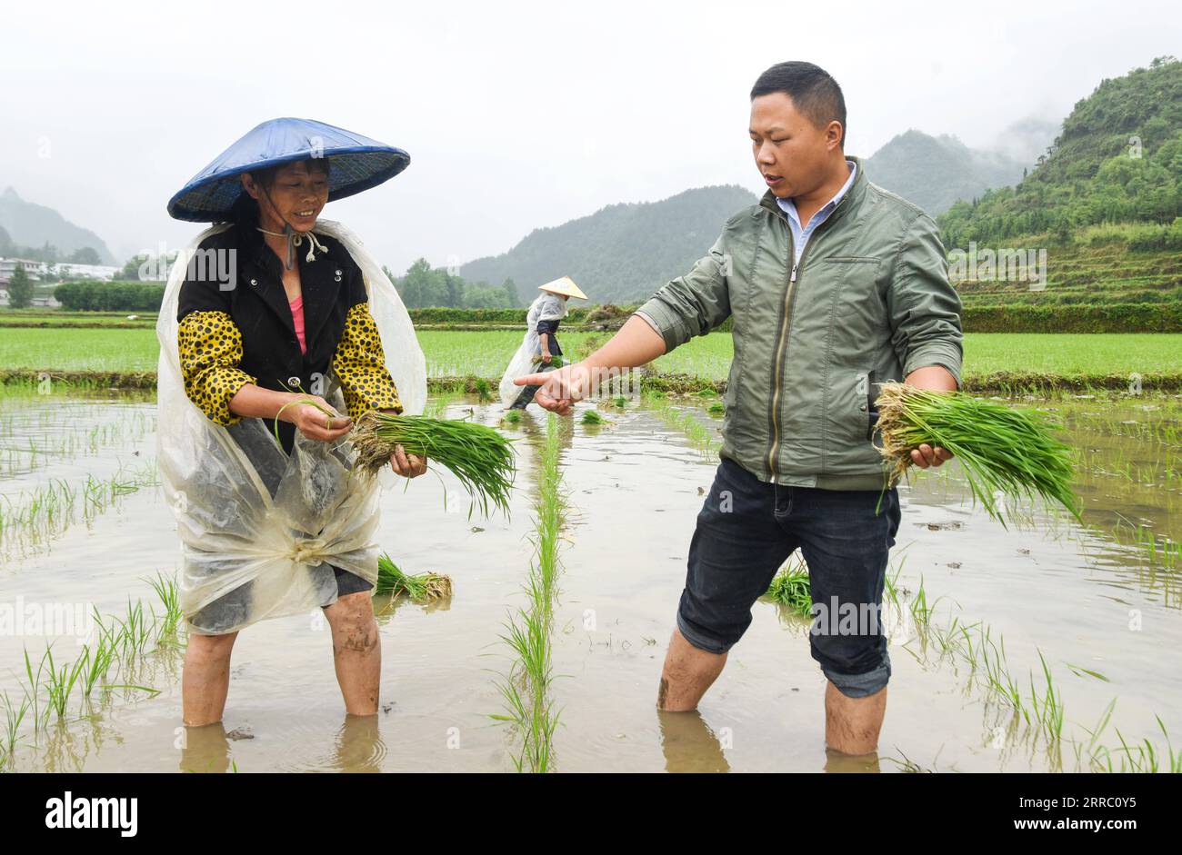 Majiang in a hi-res stock photography and images - Alamy