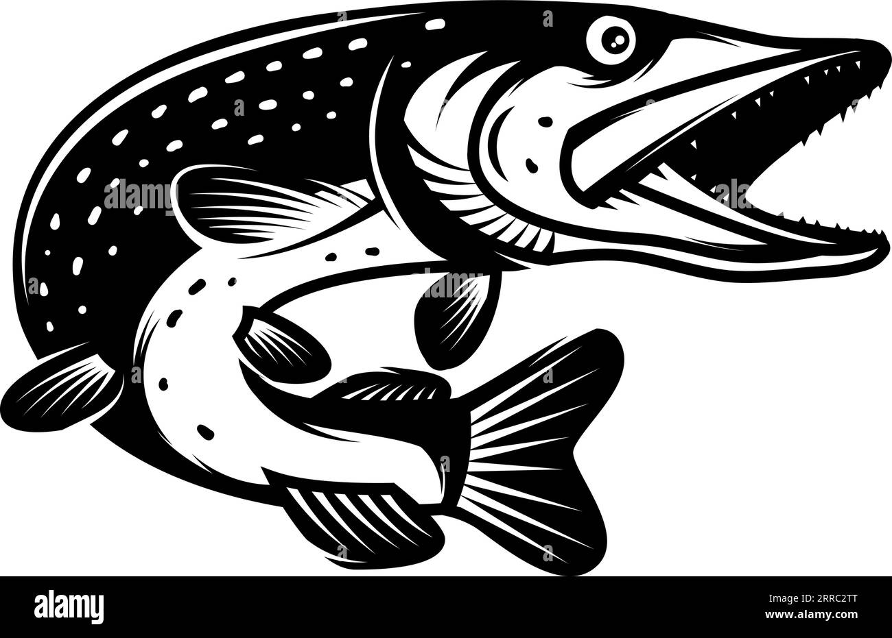 Great northern pike vector vectors Cut Out Stock Images & Pictures - Alamy