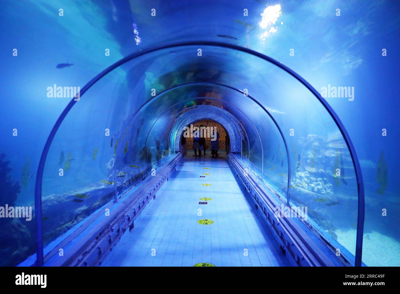 Hurghada grand aquarium hi-res stock photography and images - Alamy