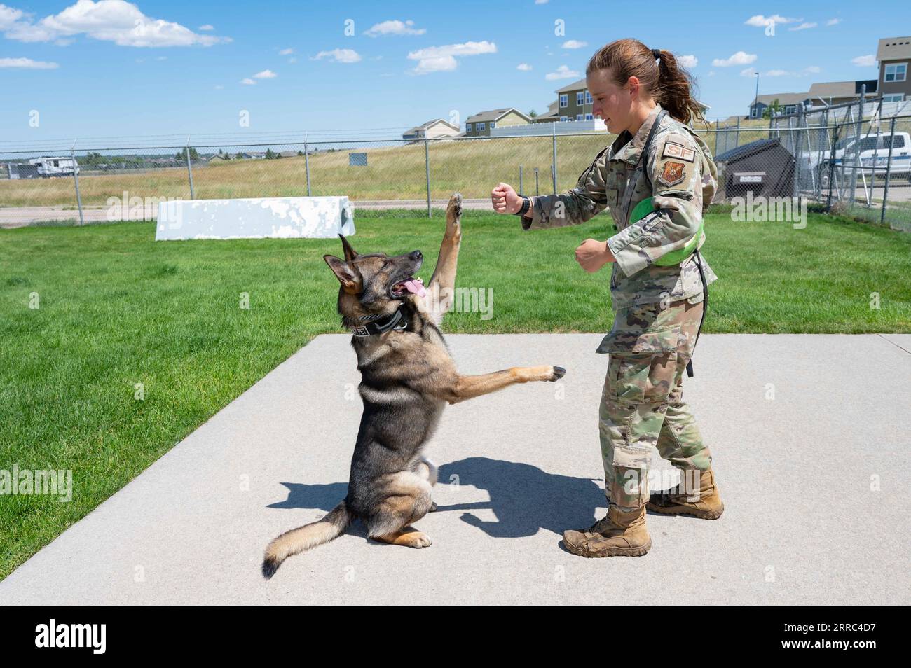Dog refuel hi-res stock photography and images - Alamy