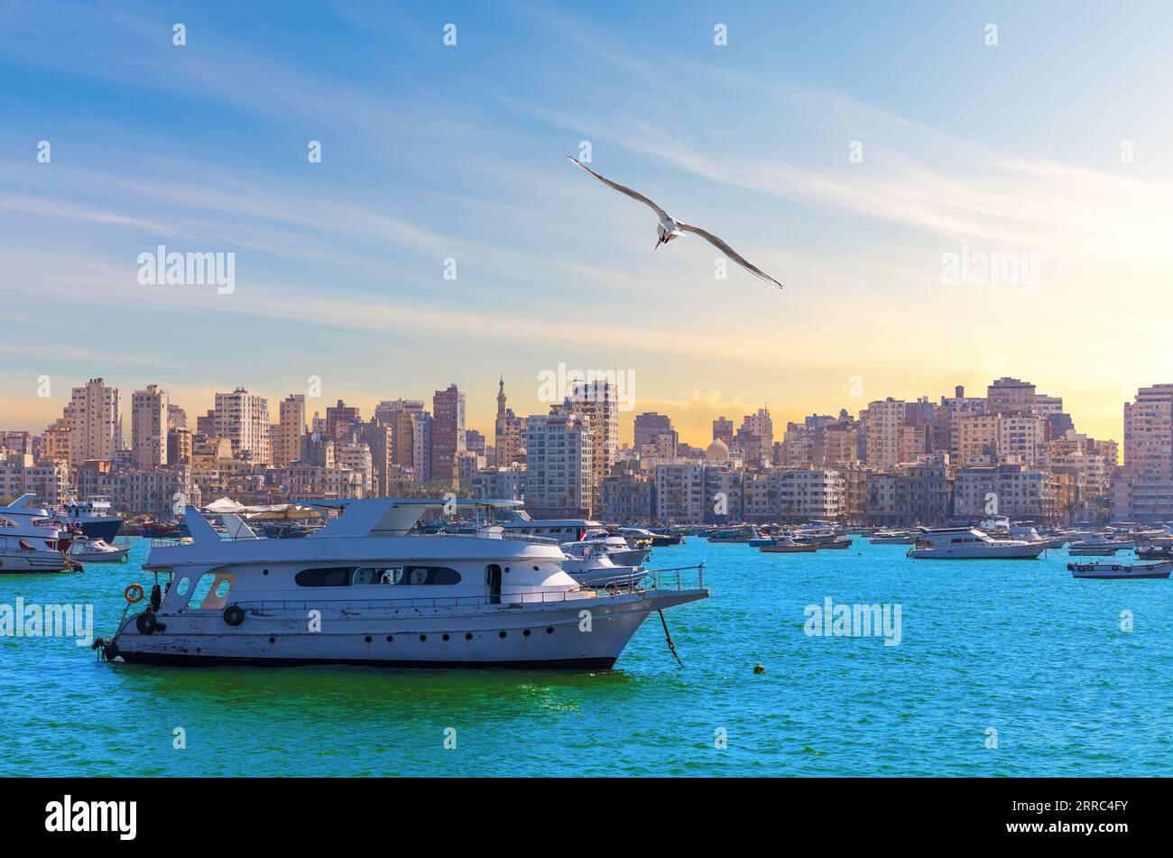 Alexandria harbour with boats and seagulls, beautiful seaside view ...